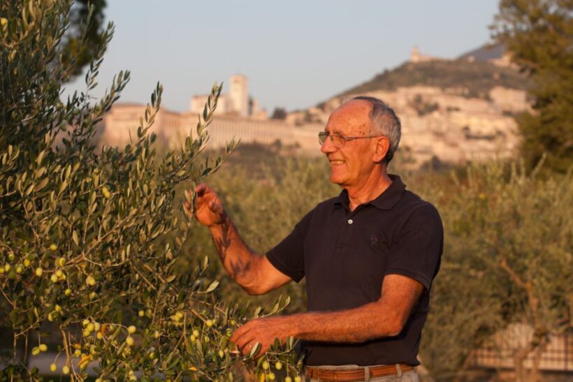 Pic nic Deluxe Assisi and wine tasting 5 wines - FAQs