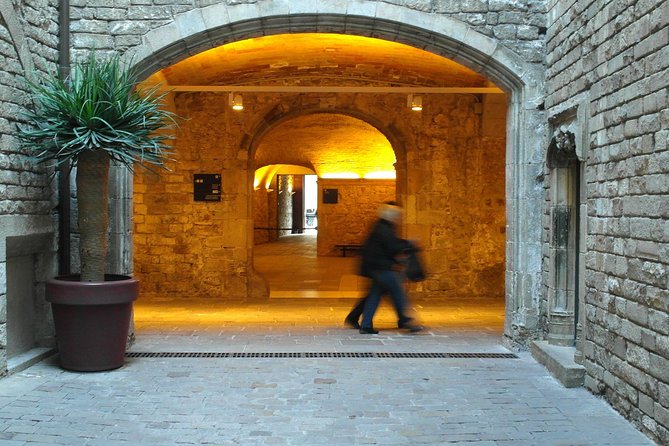 Picasso Museum Guided Tour in Barcelona - Accessibility and Recommendations