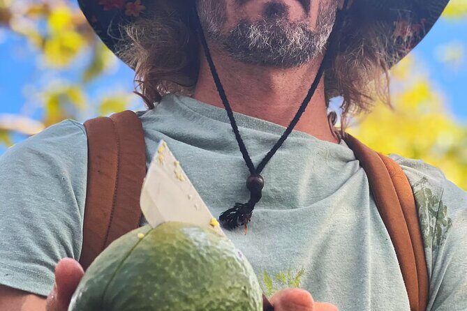 Pick and Taste Tropical Fruit - An In-Depth Look at the Experience