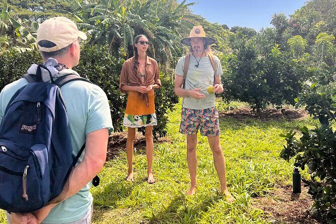 Pick and Taste Tropical Fruit - The Sum Up: Why This Tour Works for Many Travelers