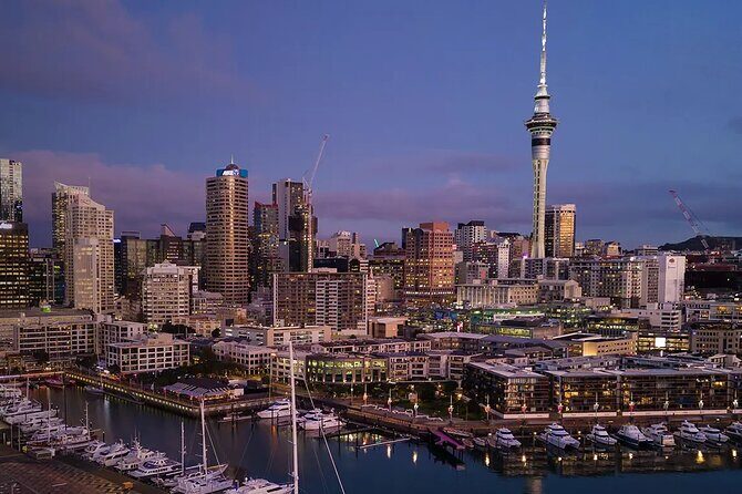 Pick Up At Auckland Airport - The Sum Up