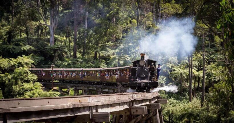 Pick Up from City | Steam Train and Penguin Parade Day Tour - What Reviewers Say