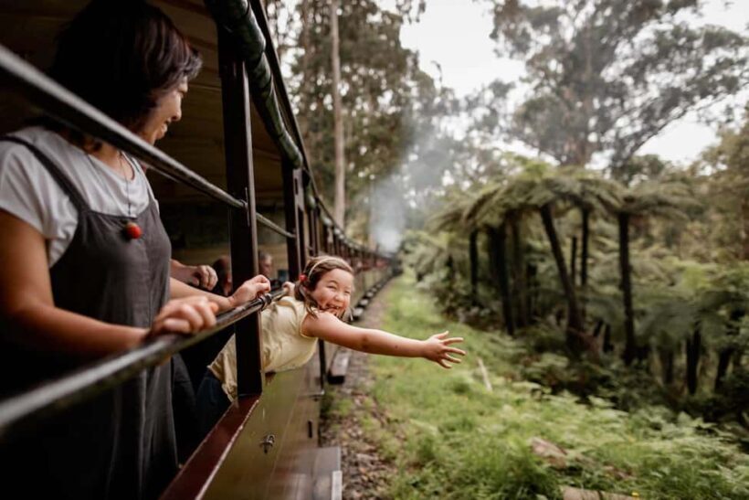 Pick Up from City | Steam Train and Penguin Parade Day Tour - The Value Proposition