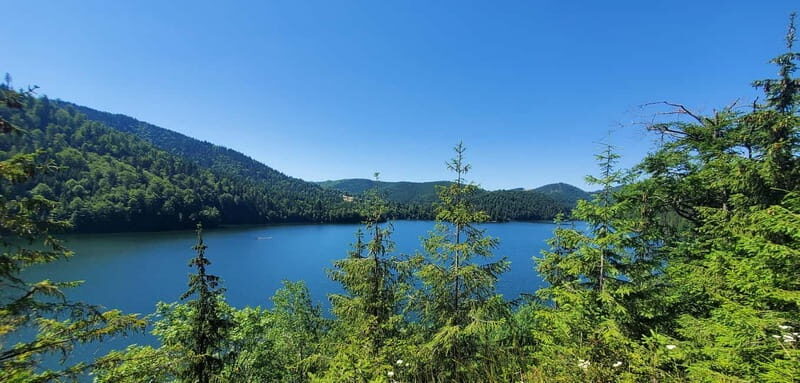 Pick-up from Cluj: e-Mountain Bike Tour Lake Dragan - The Experience: What to Expect on the Lake Dragan e-MTB Tour