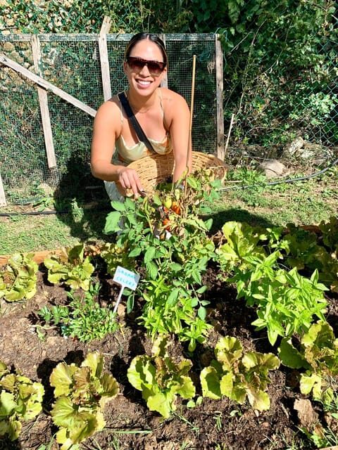 Pick Vegetables at the farm & Cook pasta - Who Should Consider This Tour?