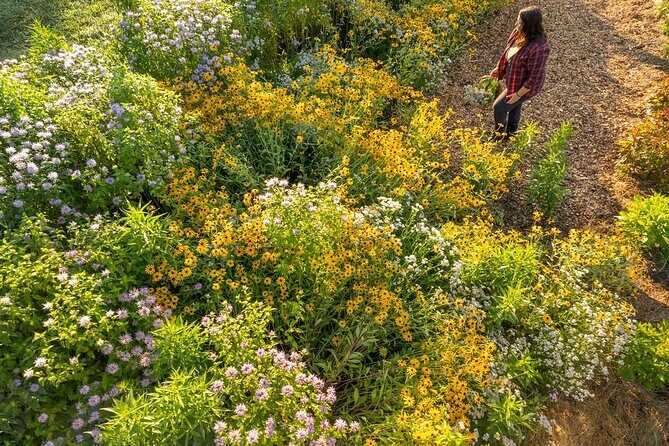 Pick Your Own Flowers on the Farm - Who Will Love This Tour?