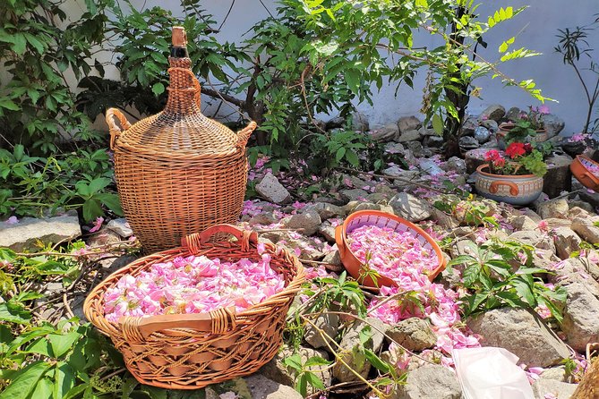 Picking Roses Workshop & Extracting Rose Oil in the Rose Valley - The Sum Up