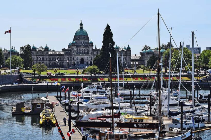 Pickle Pub Crawl: Ferry Rides and Appetizers - The Value Proposition