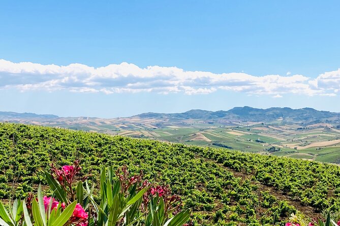 Picnic in an Organic Winery in Alcamo - Tips for Enjoying Your Picnic Experience