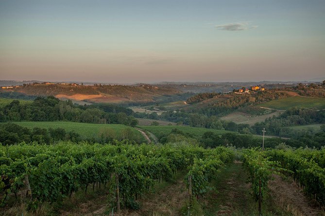 Picnic in the countryside in the heart of Chianti - Final Thoughts on Value and Suitability