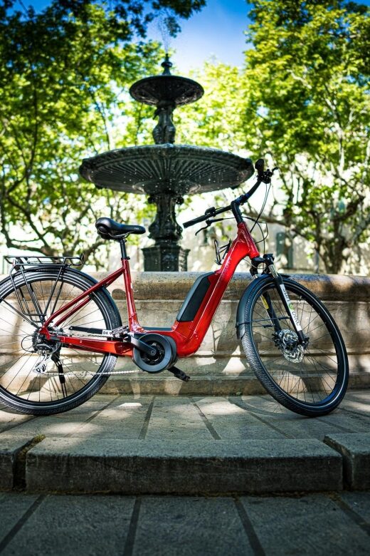 Picnic in the middle of a vineyard by e-bike - FAQ