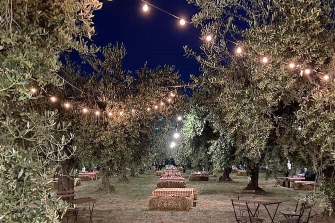 Picnic in the Moonlight on the Costa dei Trabocchi - Key Points
