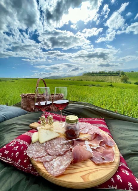 Picnic in the organic vineyards of Brunello - Key Points