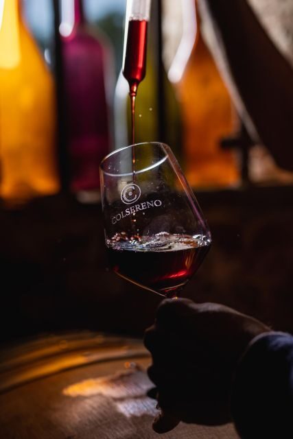 Picnic in the organic vineyards of Brunello - A Closer Look at the Picnic Experience