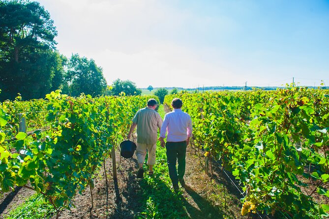 Picnic in the Vines - A Unique Loire Wine Experience - A Guided Tour of Château Du Petit Thouars