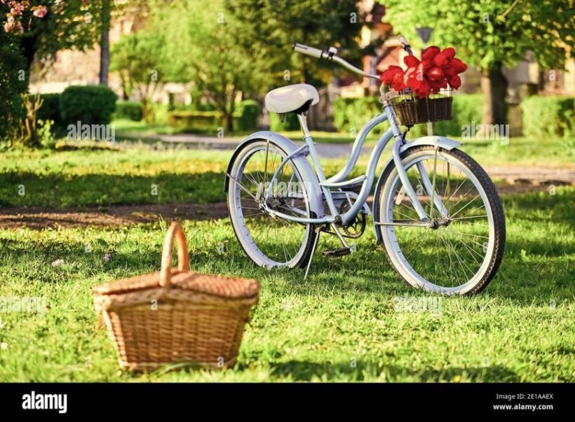 Picnic next to Lavender fields by e-bike - FAQs