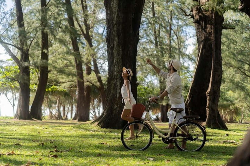 Picnic Set at Dewa Phuket Resort & Villas - An In-Depth Look at the Picnic Experience