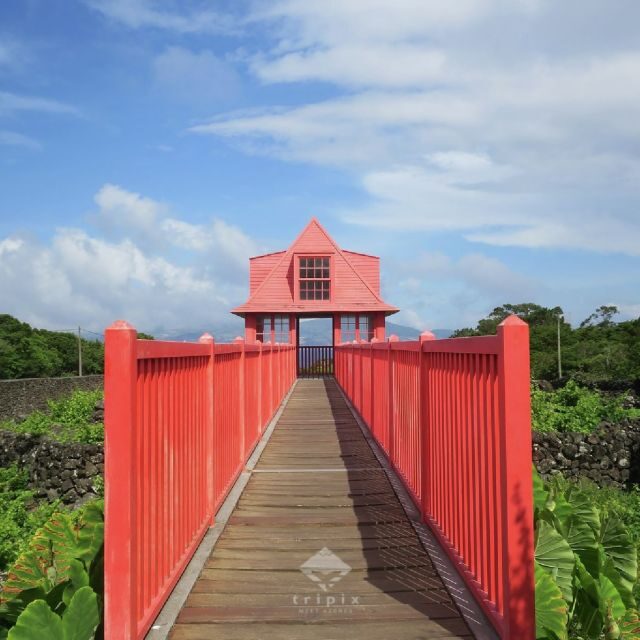 Pico Day Tour: Get to know Pico Island with a local guide - FAQ
