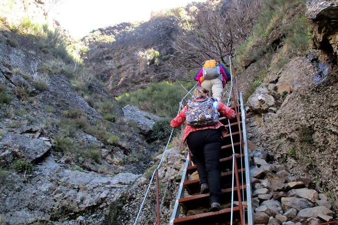 Pico do Arieiro - Pico Ruivo - Achada do Teixeira Walk - Who Should Consider This Tour?
