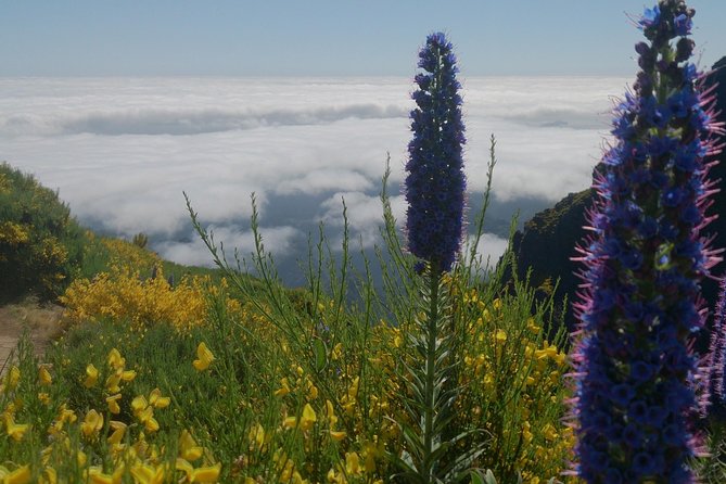 Pico Do Arieiro - Pico Ruivo - Achadas Do Teixeira - Group Size and Cancellation Policy