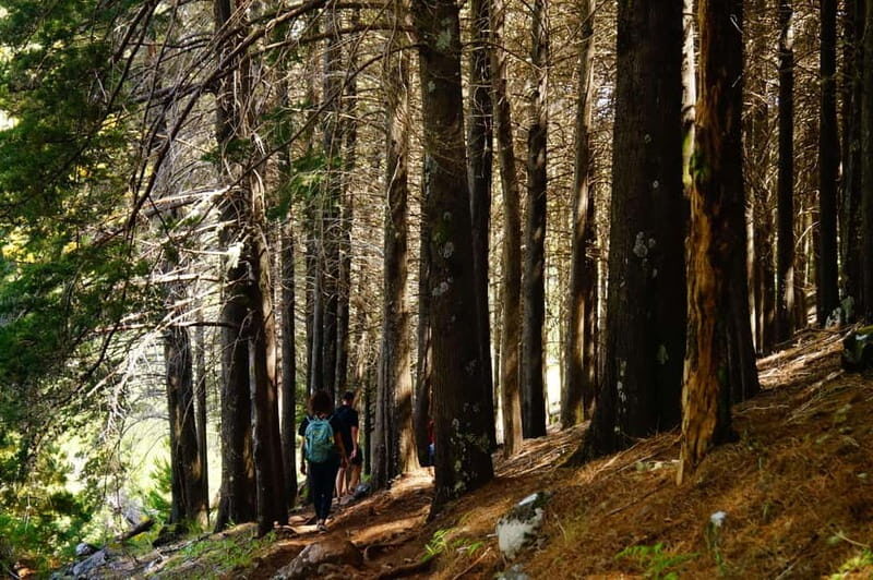 Pico do Arieiro - Stairway to Heaven Hike - Sunrise Option - Key Points