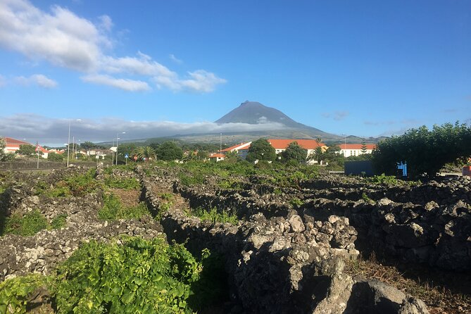 Pico Girl Power Wine Tasting and Cultural Experience - Highlights From Traveler Reviews
