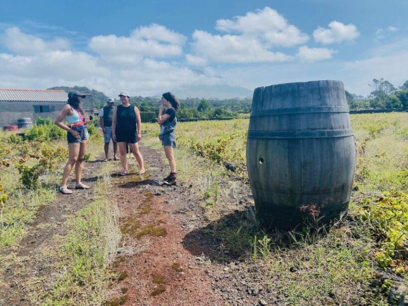 Pico Island: Wine Tasting, Independent Producers & Culture - Exploring Traditional Villages and Scenic Views