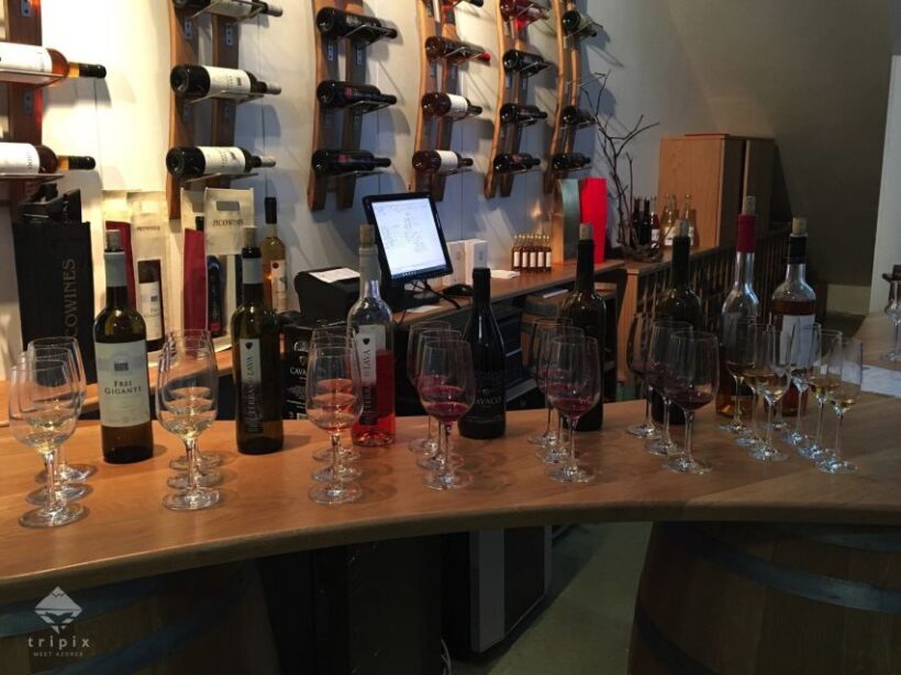 Pico Wine Tour: Get to know Pico's wines - Exploring Pico’s Famous Wines