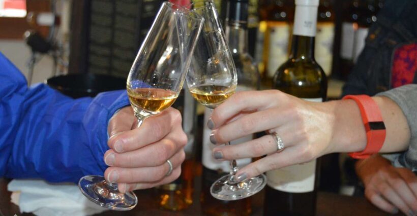 Pico Wine Tour: Get to know Pico's wines - Visiting Wineries and Sampling Wines