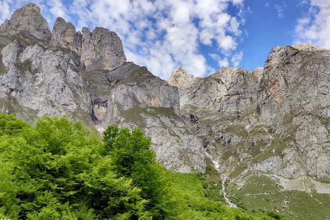 Picos De Europa and Potes Guided Tour From Santander-Small Groups - Reviews and Traveler Feedback