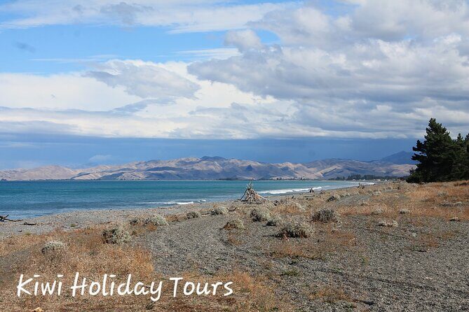 Picton & Blenheim Scenic Tour - An In-Depth Look at the Picton & Blenheim Scenic Tour