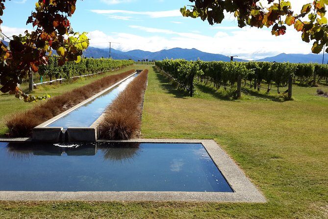Picton Cruise Ship Shore Excursion Marlborough Wine Tour - FAQ