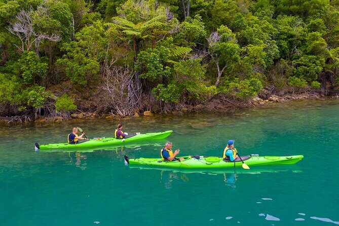 Picton Morning Guided Kayak with Afternoon Boat Cruise Tour - Setting the Scene: Marlborough Sounds’ Unique Landscape