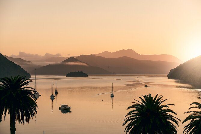 Picton Morning Guided Kayak with Afternoon Boat Cruise Tour - Seafood and Wine Tasting