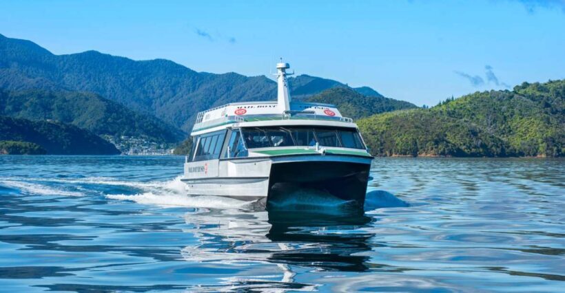 Picton: Queen Charlotte Sounds Sightseeing Cruise - Exploring the Queen Charlotte Sounds Sightseeing Cruise from Picton