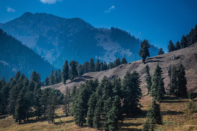 Picturesque Pahalgam: A Memorable Day Trip from Srinagar - A Closer Look at the Itinerary