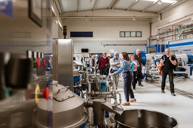 Picualia, Visit the Oil Mill & EVOO Tasting - Meeting and End Points