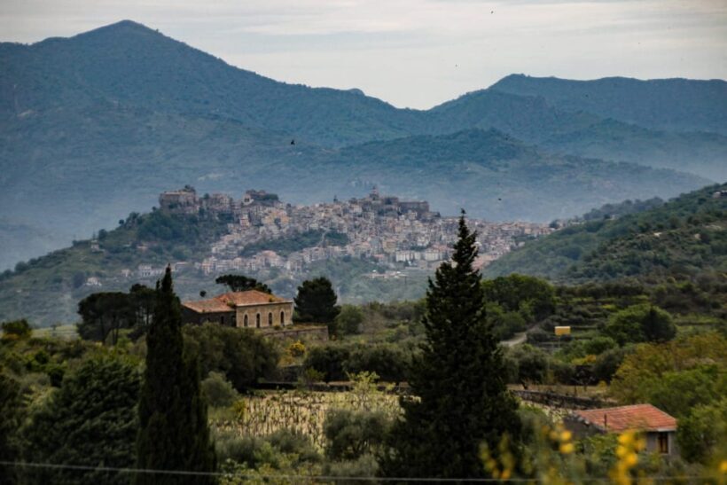 Piedimonte Etneo: Etna Wine Train Tour & Sicily Wine tasting - Key Points