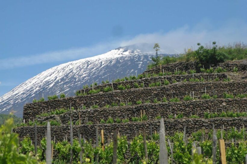Piedimonte Etneo: Etna Wine Train Tour & Sicily Wine tasting - FAQ: Your Questions Answered