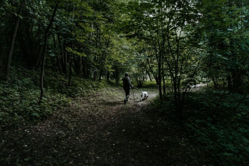 Piedmont: Private Truffle Hunting Tour with Truffle Tasting - A Closer Look at the Tour Experience