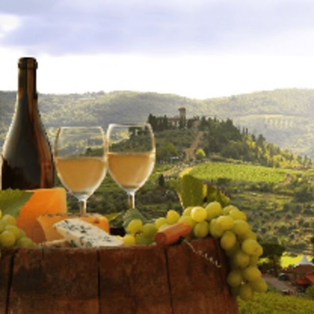 Piedmont Private Wine and Food Tour with Tastings - Key Points