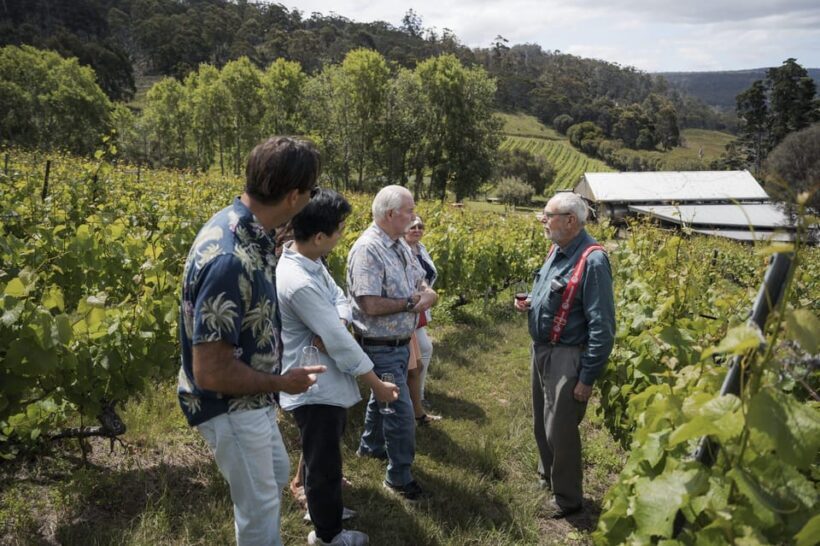 Piedmont Private Wine and Food Tour with Tastings - Authentic and Enthusiastic The Sum Up