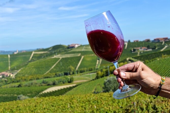 Piemonte Vineyards by Yourself from Turin - Business Car with English Chauffeur - A Practical Look at the Piemonte Vineyards by Yourself from Turin