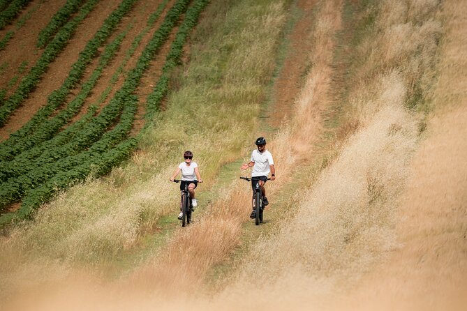Pienza - Ebike Tour for a Full Immersion in Val D'orcia. - What to Expect on the Guided Ebike Experience