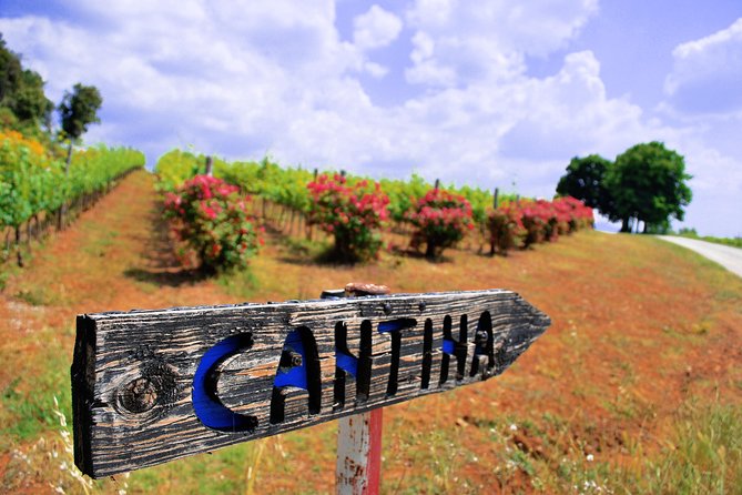 Pienza, Montalcino, Brunello Wine and Pecorino Cheese PRIVATE TOUR From FLORENCE - Inclusions and Services