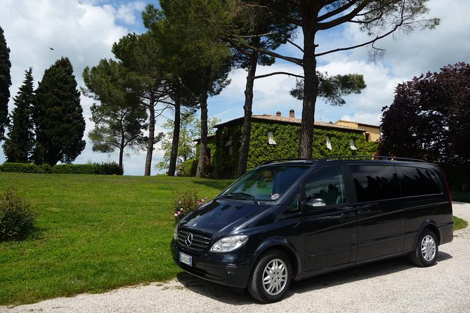 Pienza, Montalcino, Brunello Wine and Pecorino Cheese PRIVATE TOUR From FLORENCE - Traveler Information