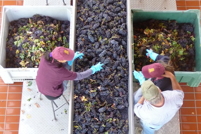 Pienza, Montalcino, Brunello Wine and Pecorino Cheese PRIVATE TOUR From FLORENCE - Frequently Asked Questions