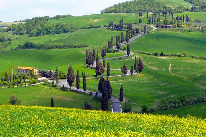 Pienza, Val Dorcia, Montalcino Wine and Pecorino Cheese PRIVATE TOUR From SIENA - Discovering Montalcino and Brunello Wine