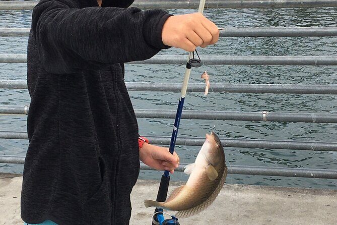 Pier Fishing Tour - San Diego - An In-Depth Look at the San Diego Pier Fishing Tour