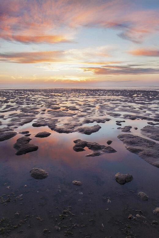 Pieterburen: Wadden Sea Mudflats Guided Walking Tour - Key Points